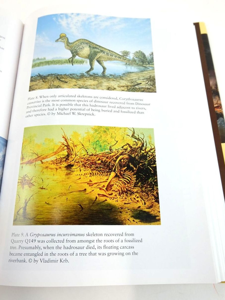 Stella & Rose's Books