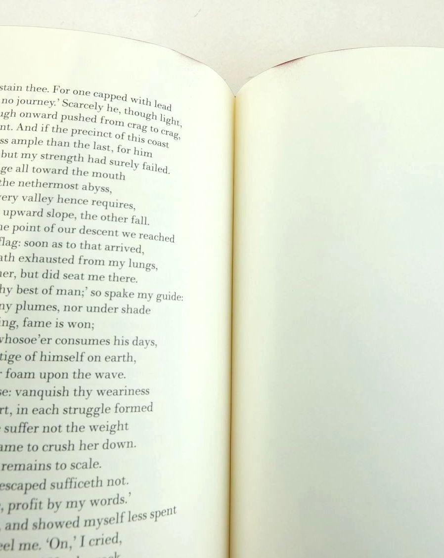 Stella & Rose's Books