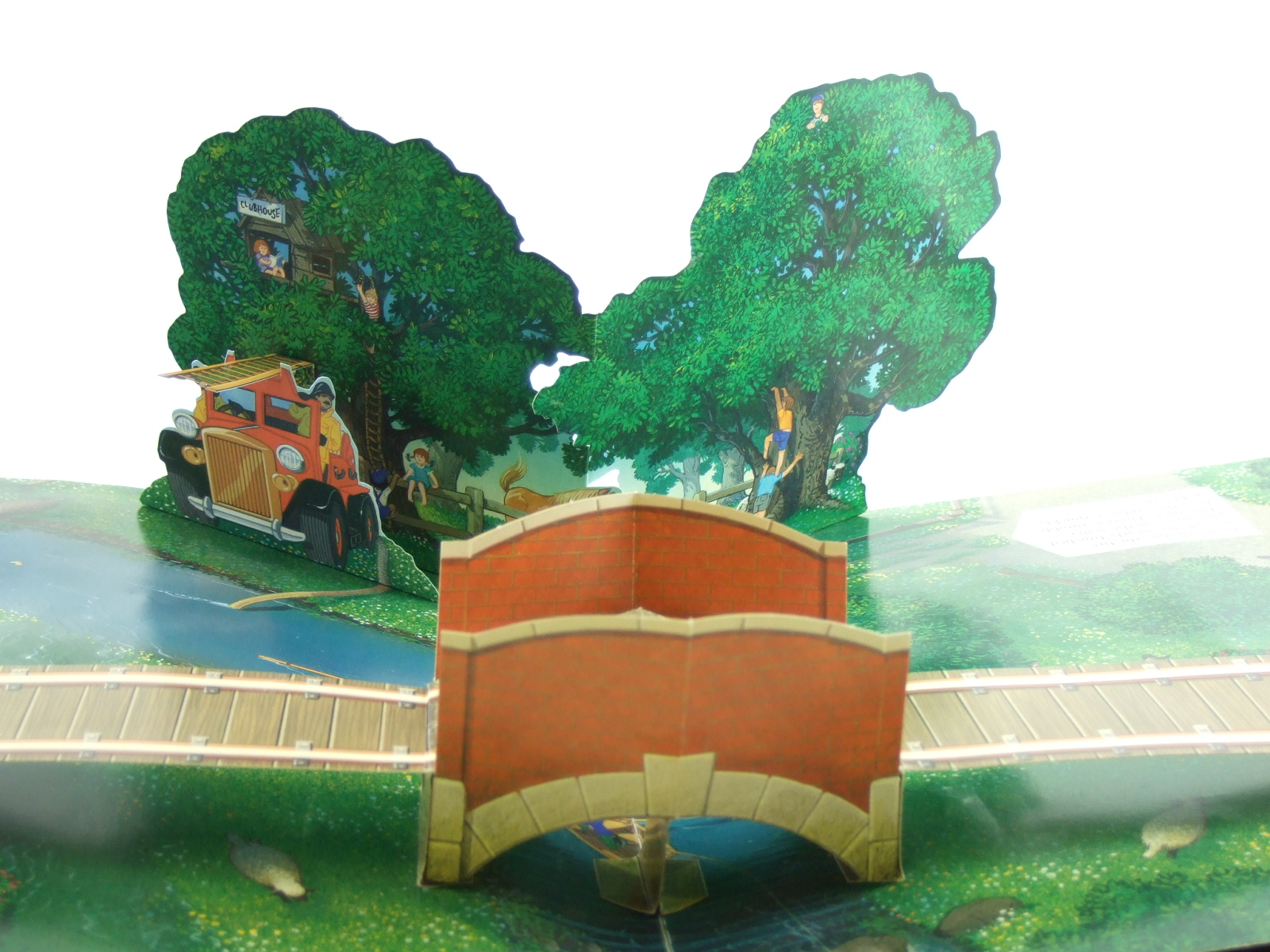 Stella & Rose's Books