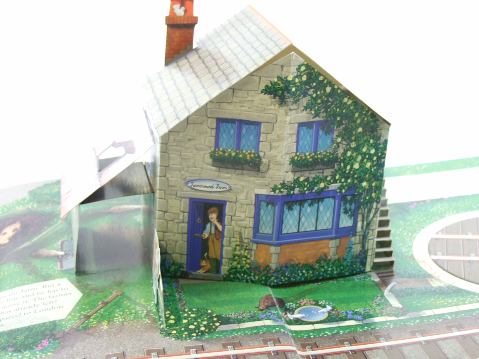 Stella & Rose's Books