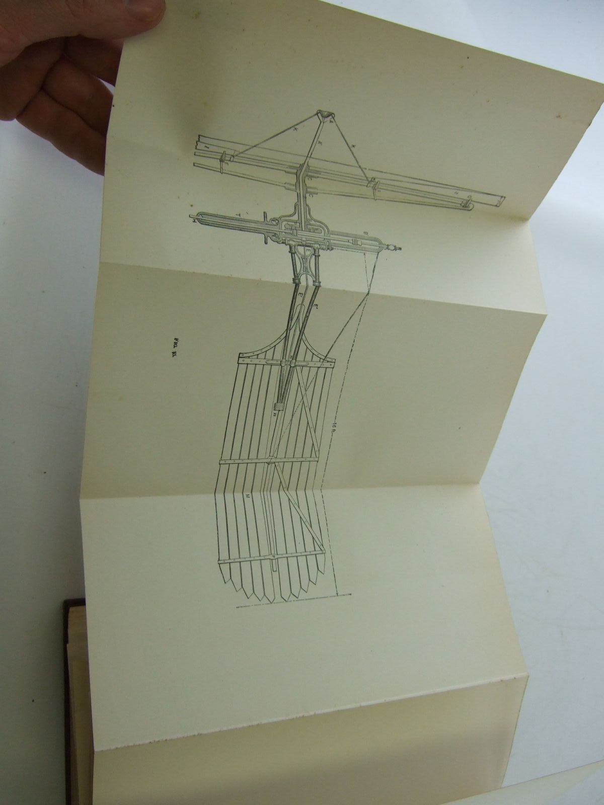 Stella & Rose's Books