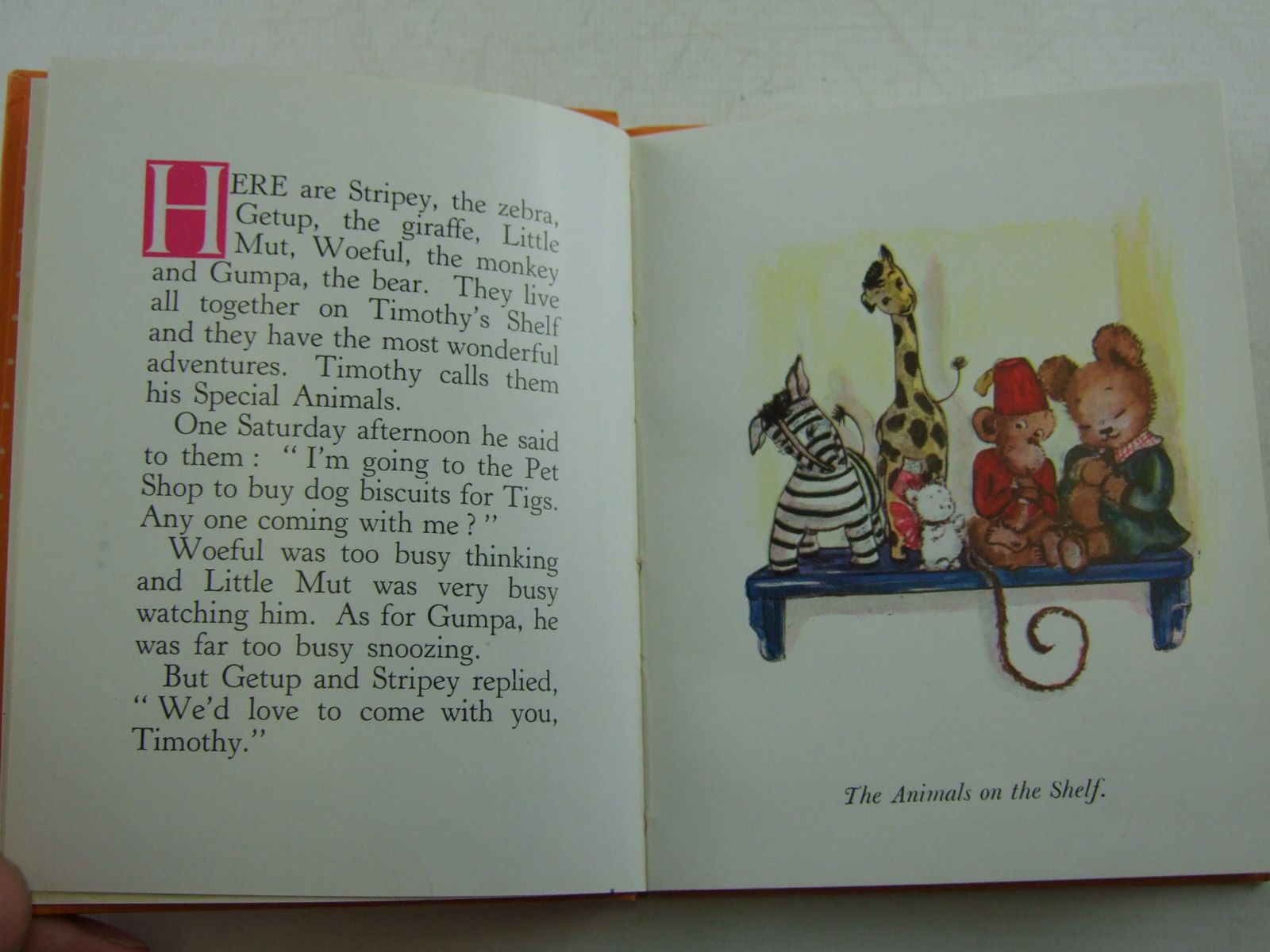 Stella & Rose's Books