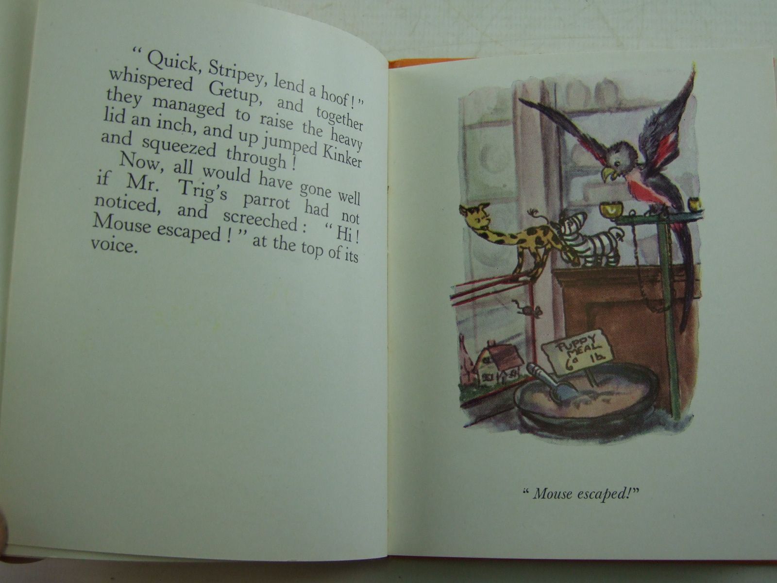 Stella & Rose's Books