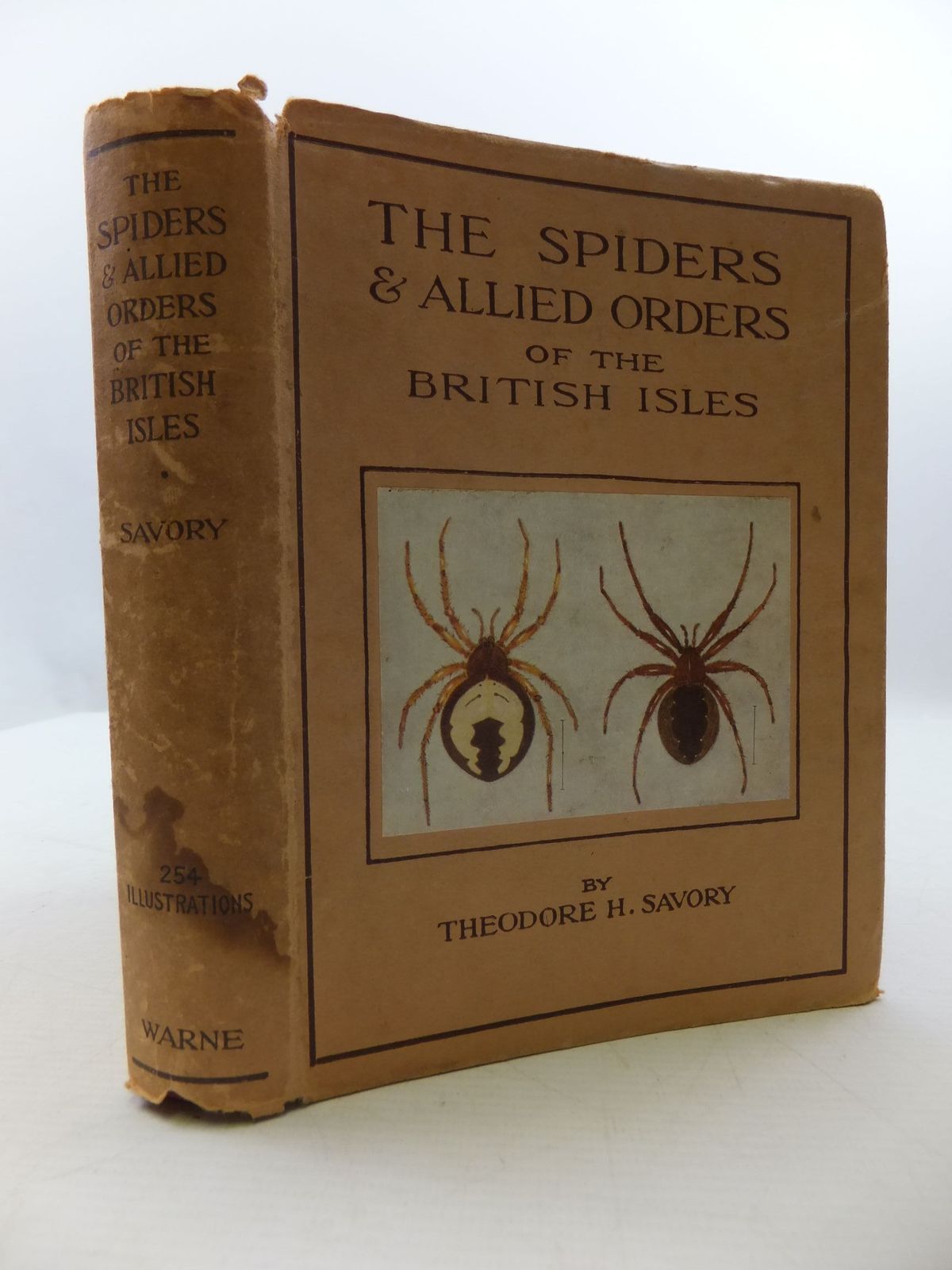Stella & Rose's Books : THE SPIDERS AND ALLIED ORDERS OF THE BRITISH ...