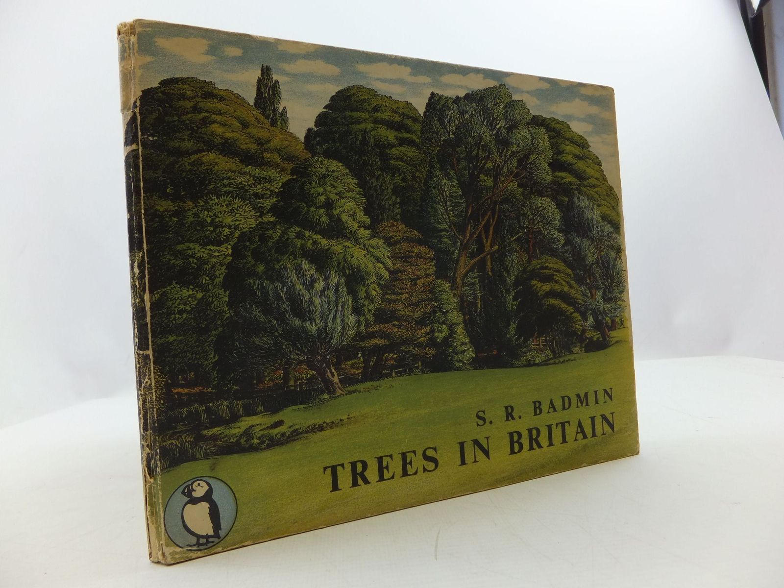 Stella & Rose's Books