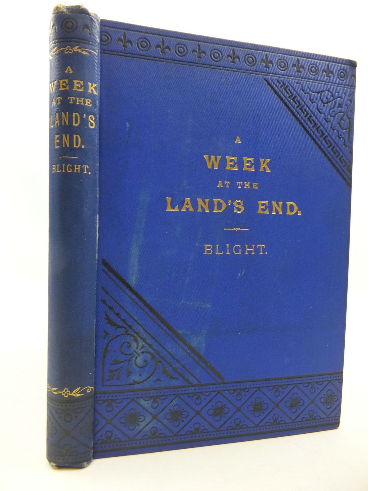 Stella & Rose's Books