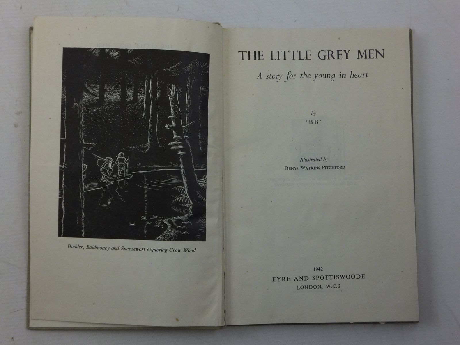 Stella & Rose's Books