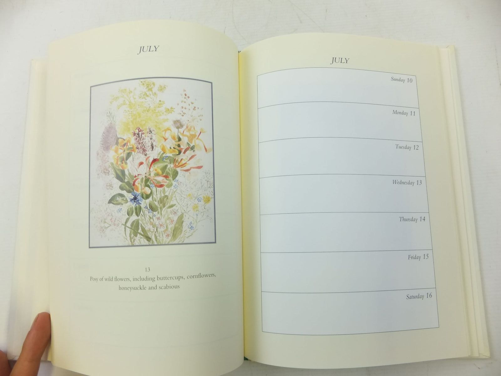 Stella & Rose's Books : THE BEATRIX POTTER ENGAGEMENT DIARY FOR 1994 ...