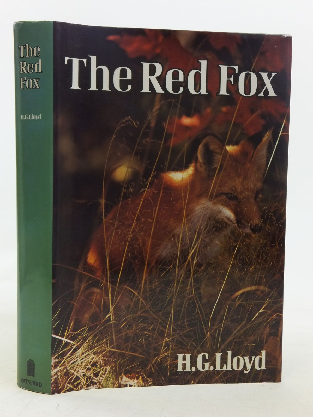 Stella & Rose's Books