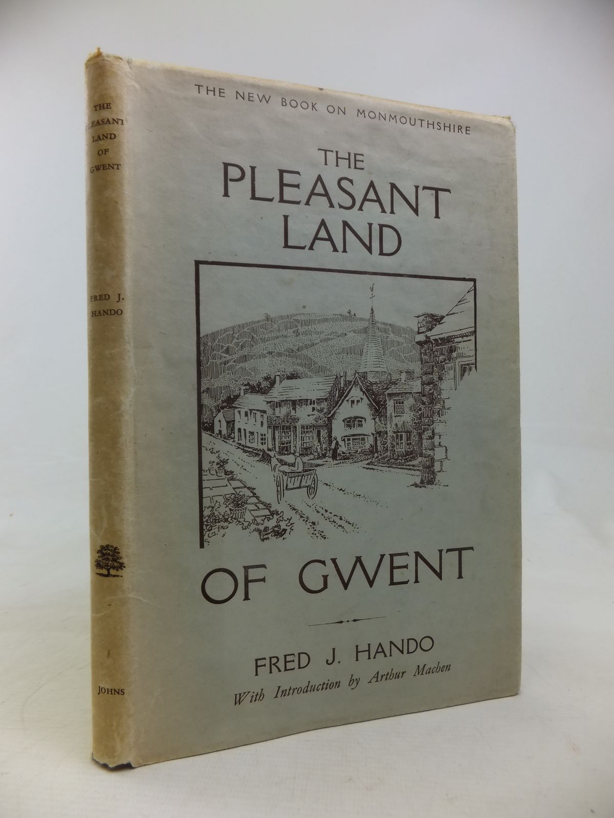 Stella & Rose's Books