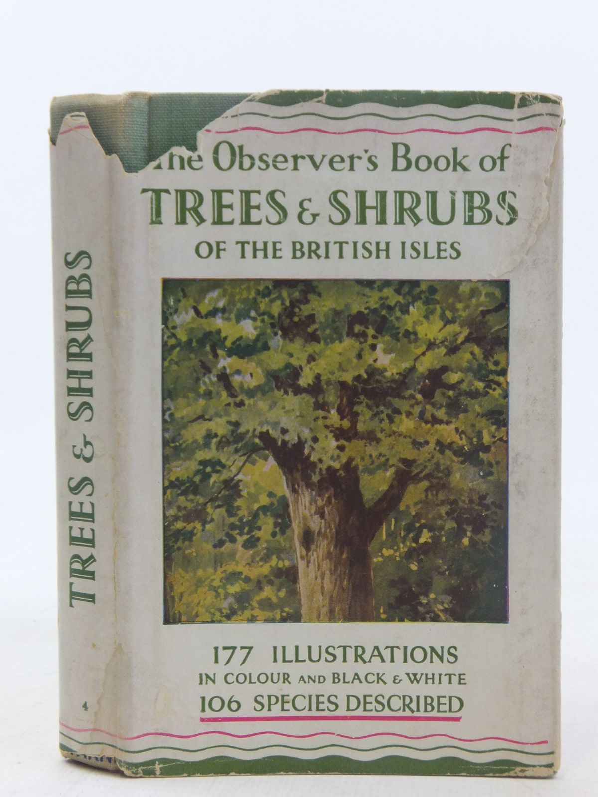 Stella & Rose's Books