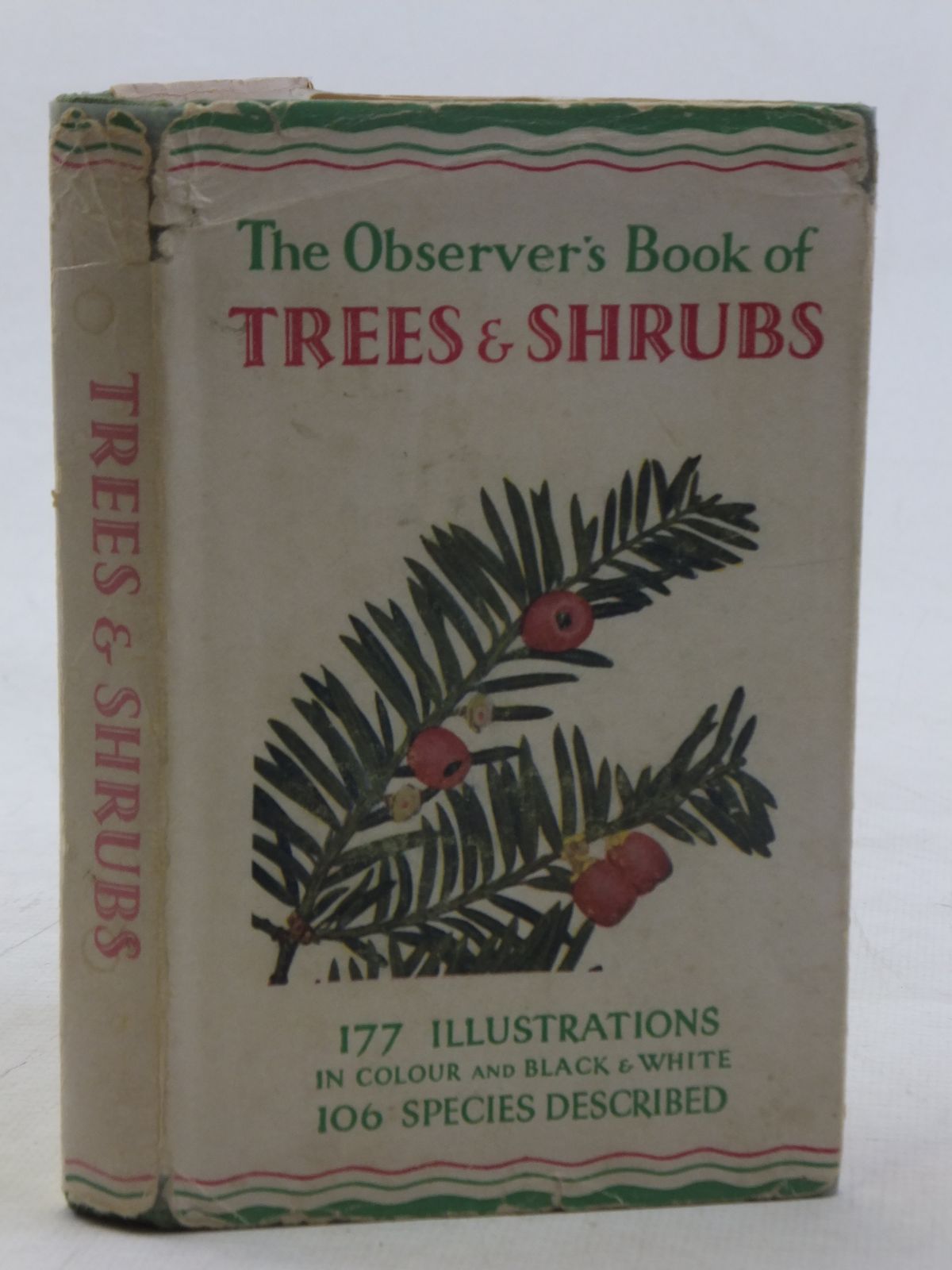 Stella & Rose's Books