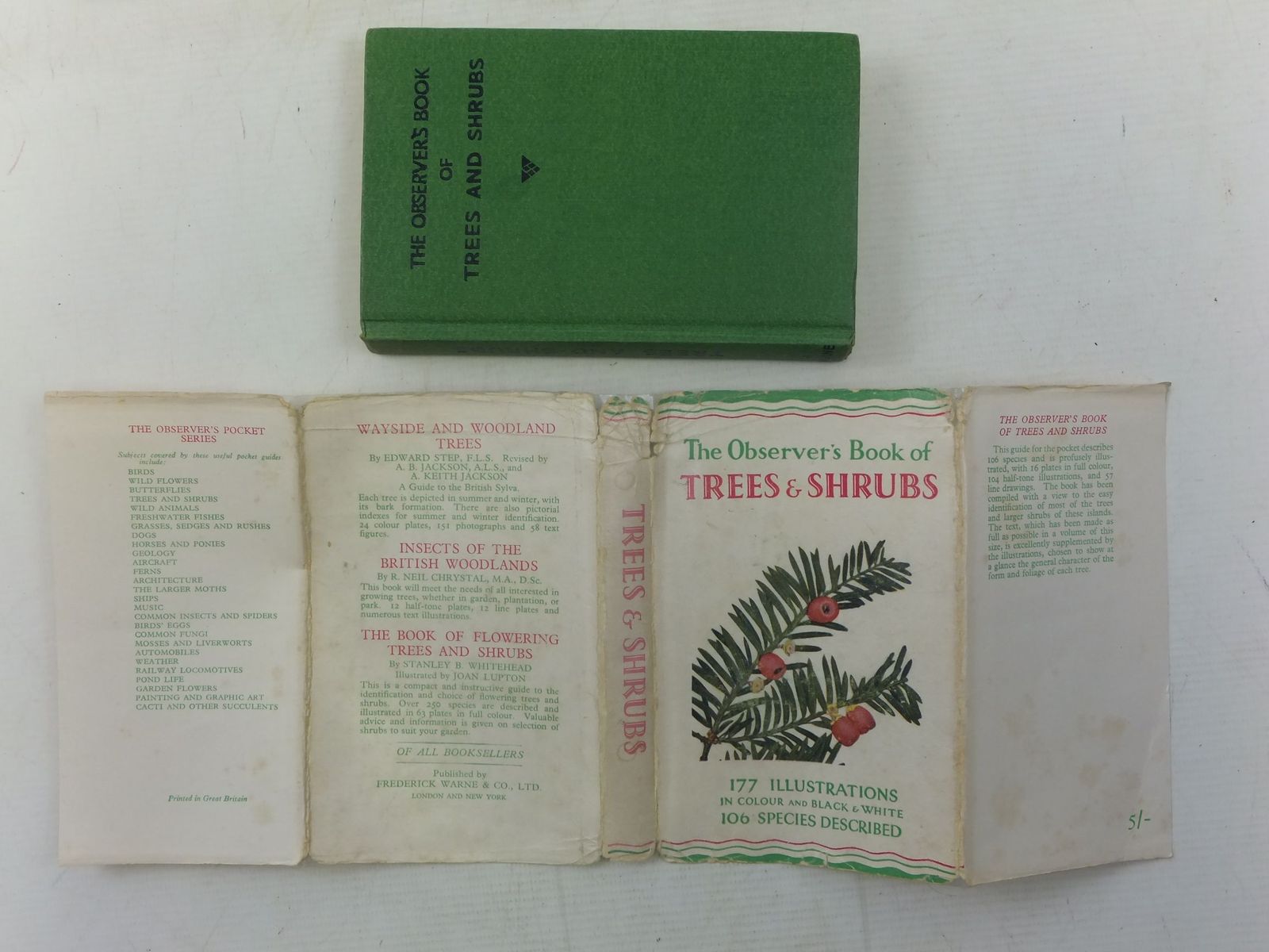 Stella & Rose's Books