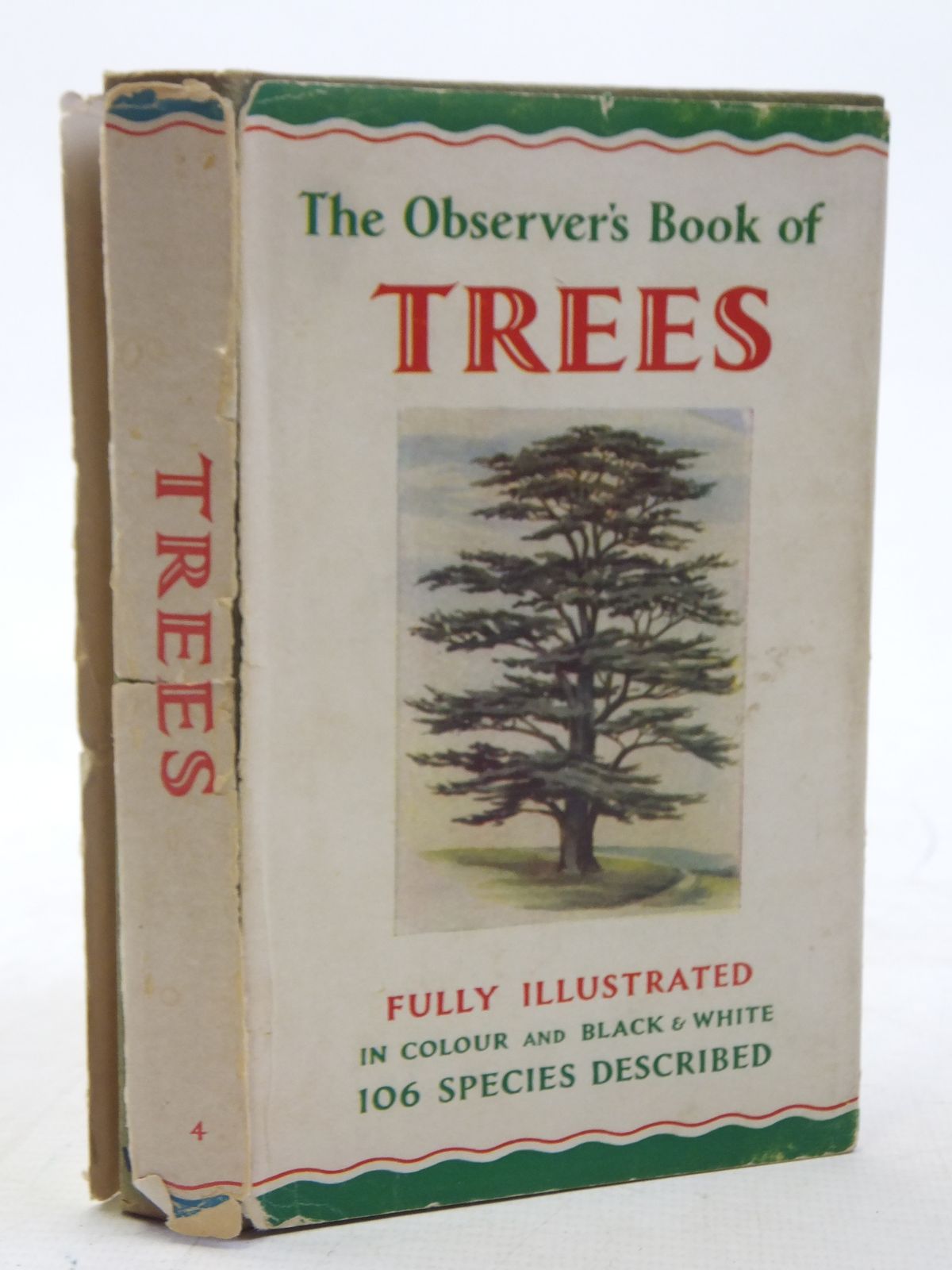 Stella & Rose's Books