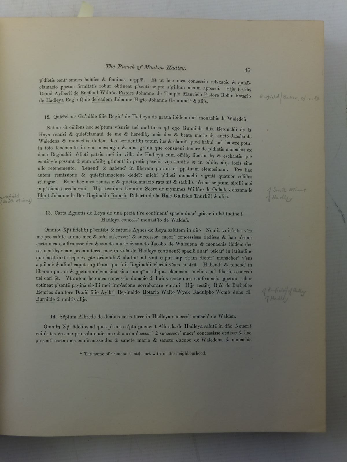 Stella & Rose's Books