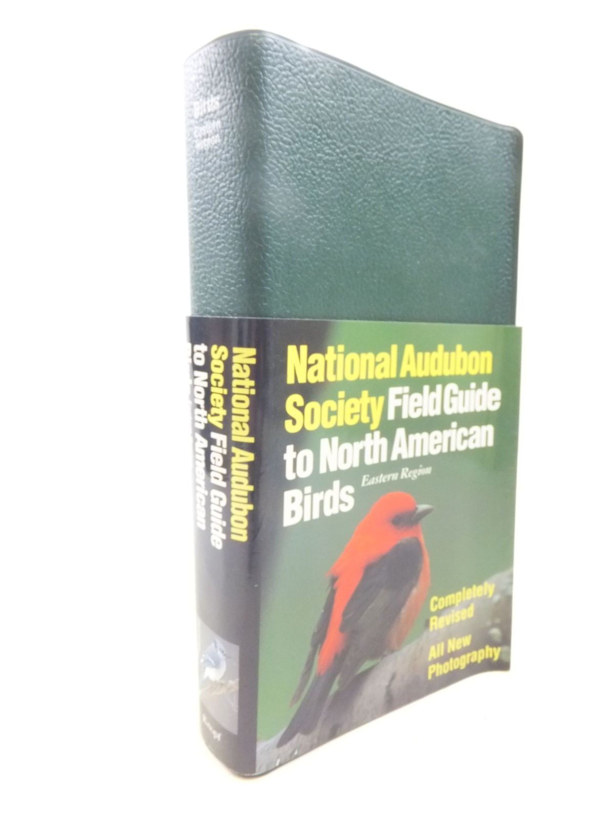 Stella & Rose's Books