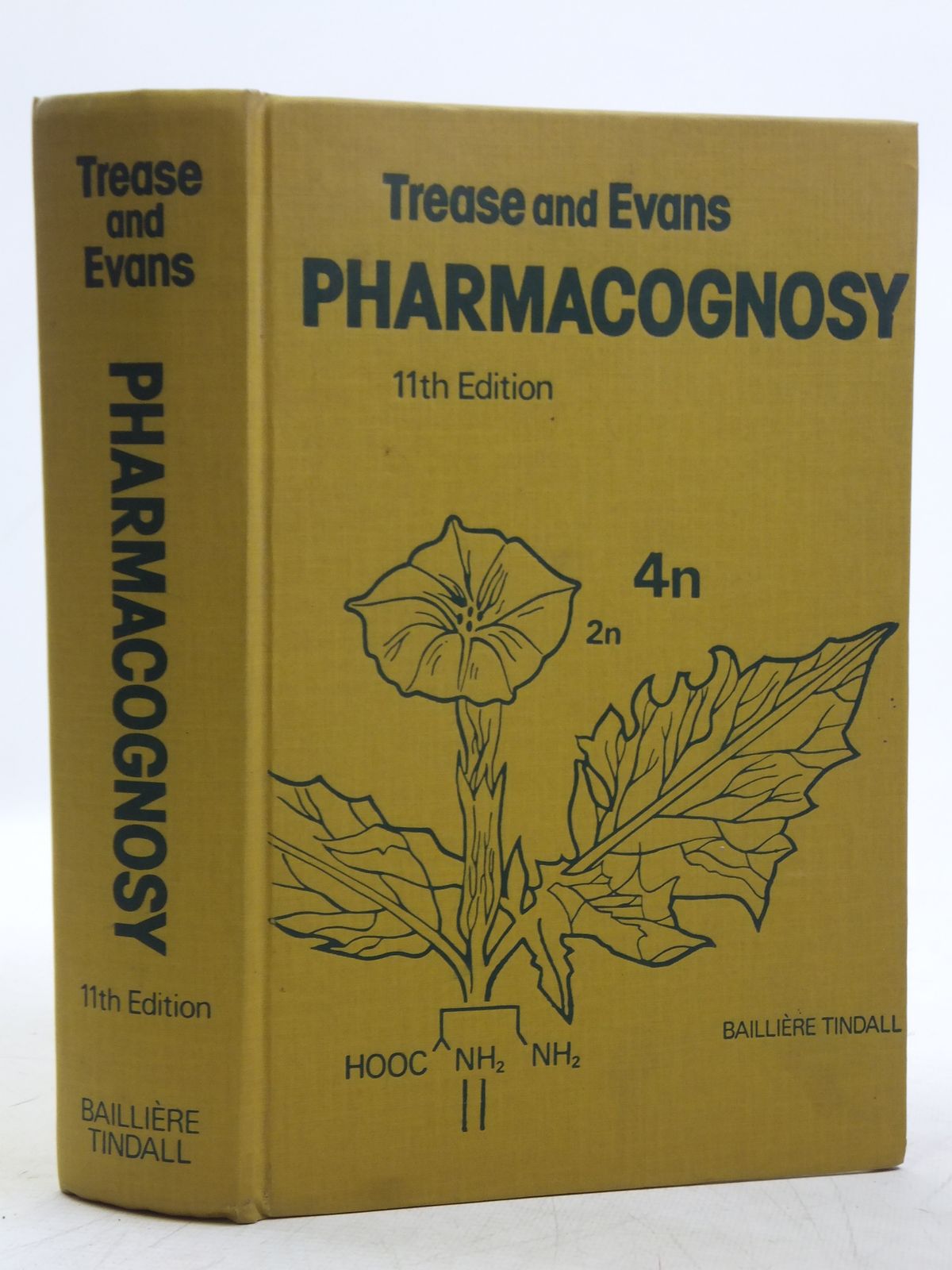 Stella & Rose's Books