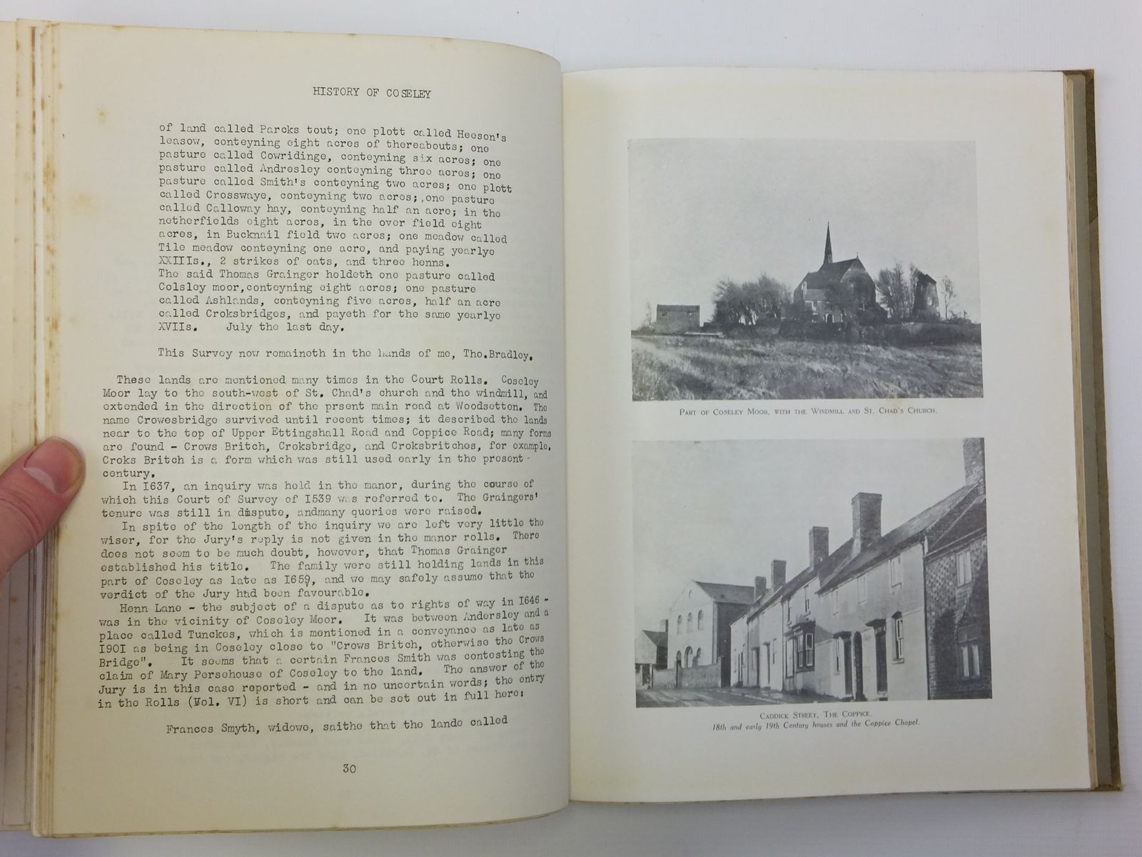 Stella & Rose's Books