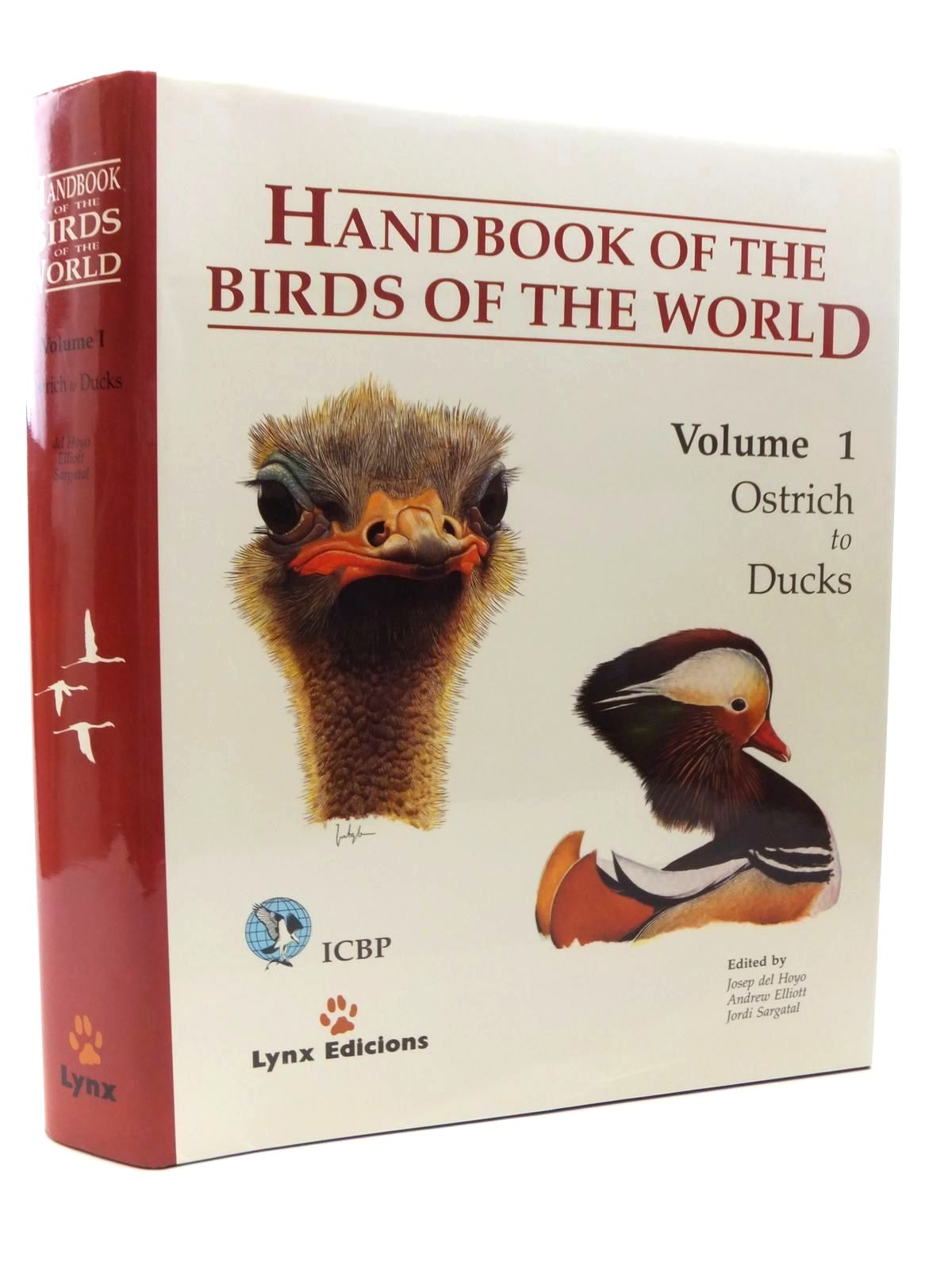 Stella & Rose's Books