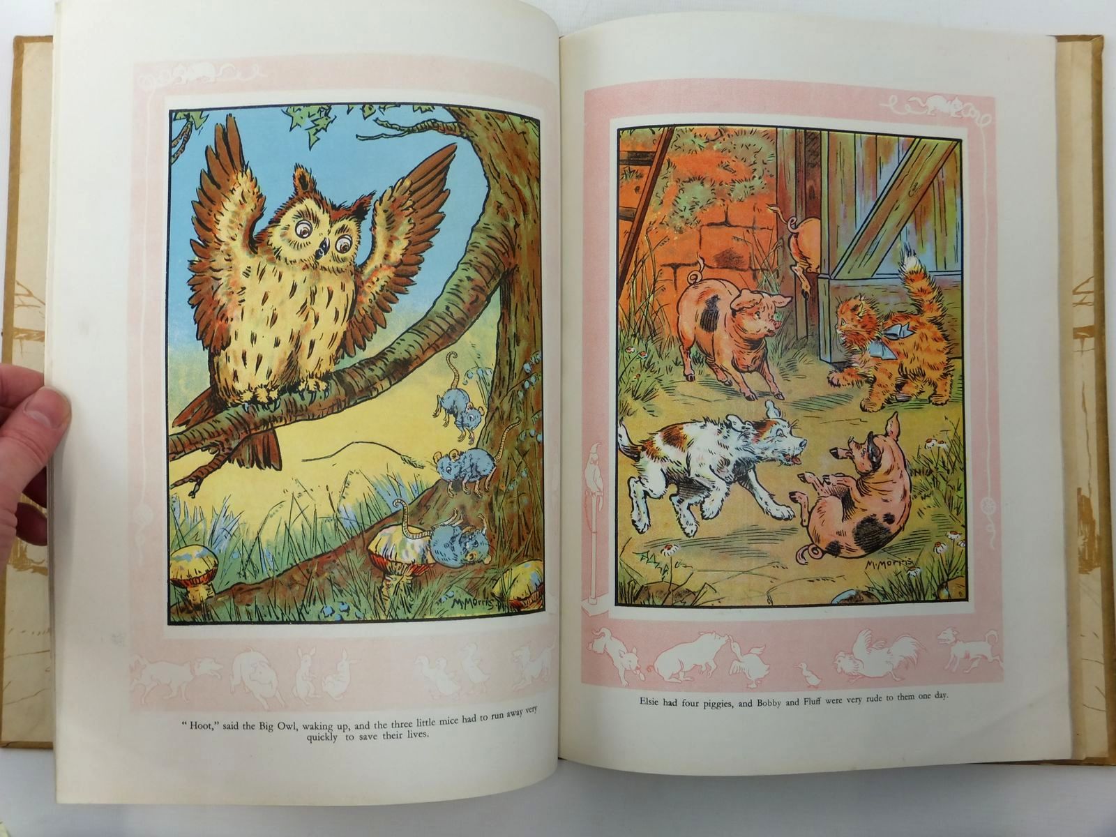 Stella & Rose's Books