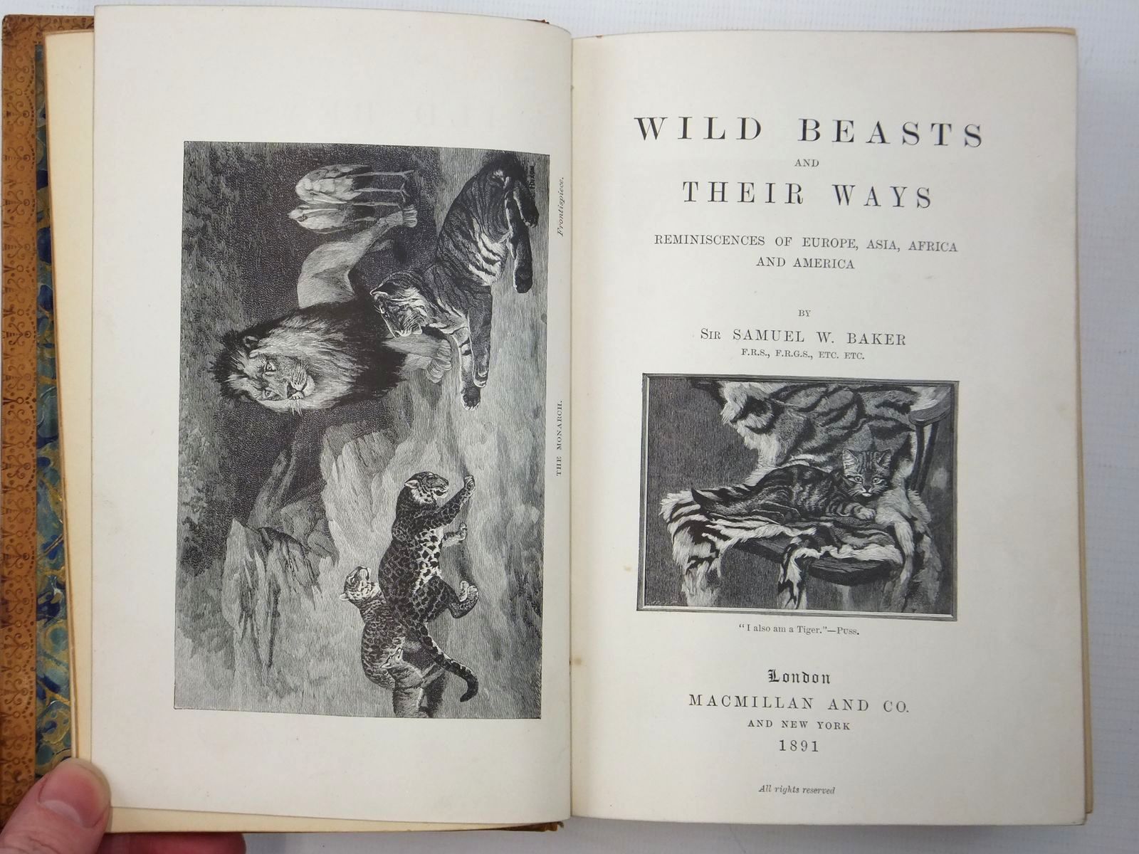 Stella & Rose's Books : WILD BEASTS AND THEIR WAYS Written By Samuel ...