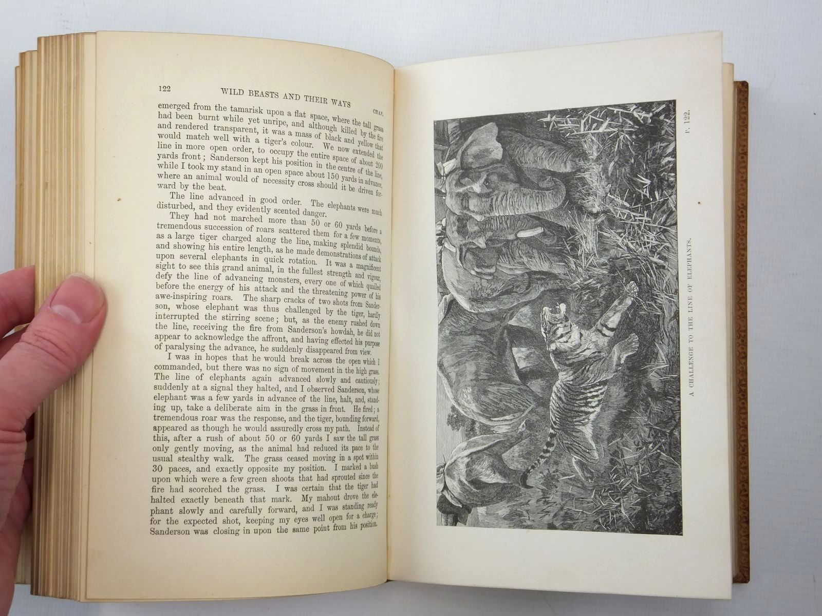 Stella & Rose's Books : WILD BEASTS AND THEIR WAYS Written By Samuel ...