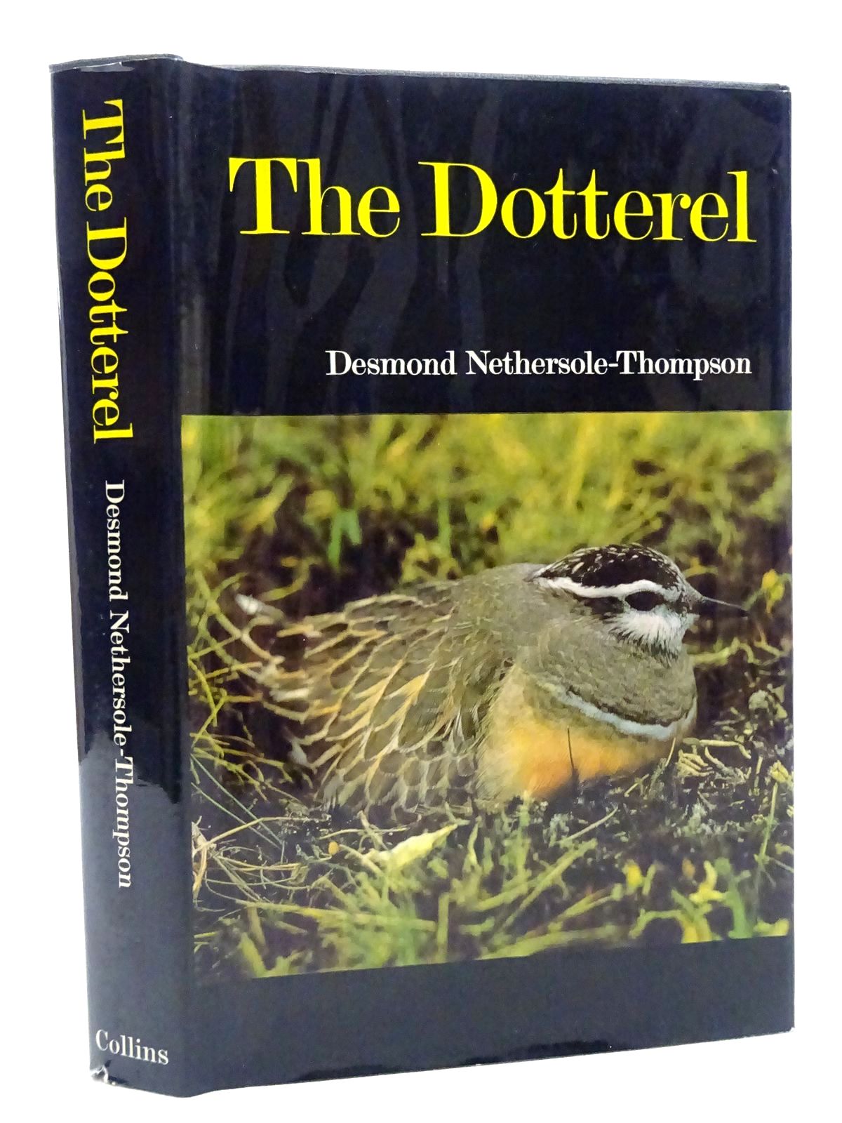 Stella & Rose's Books