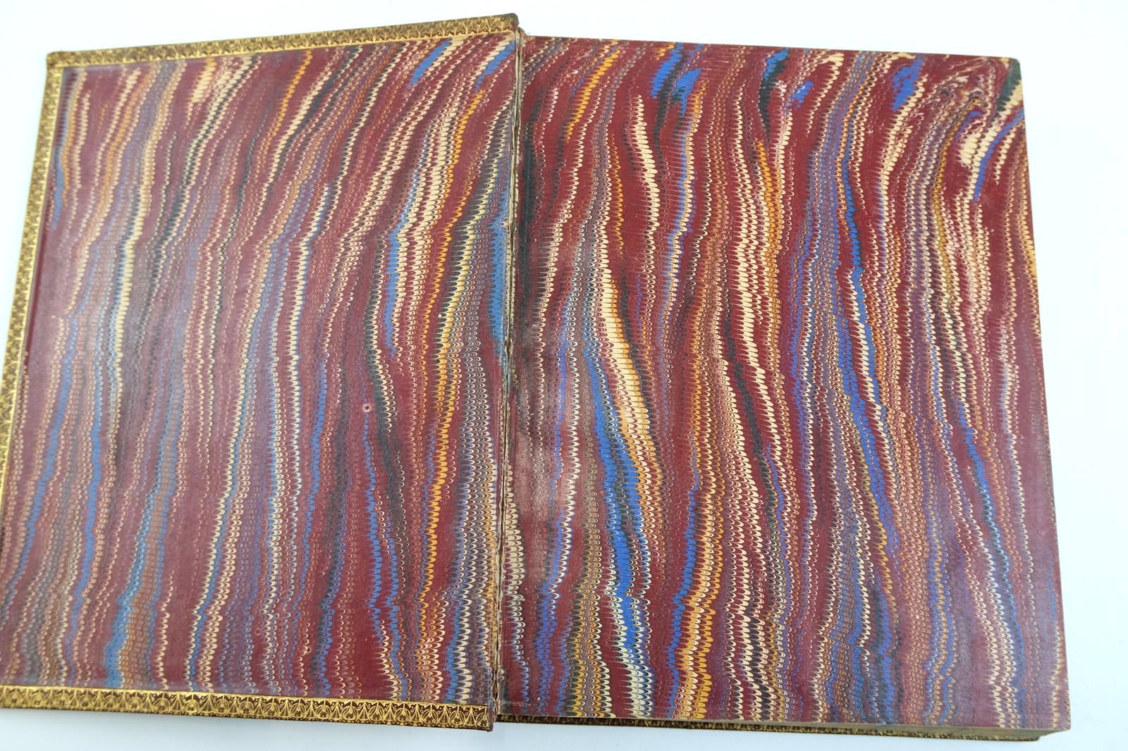 Stella & Rose's Books