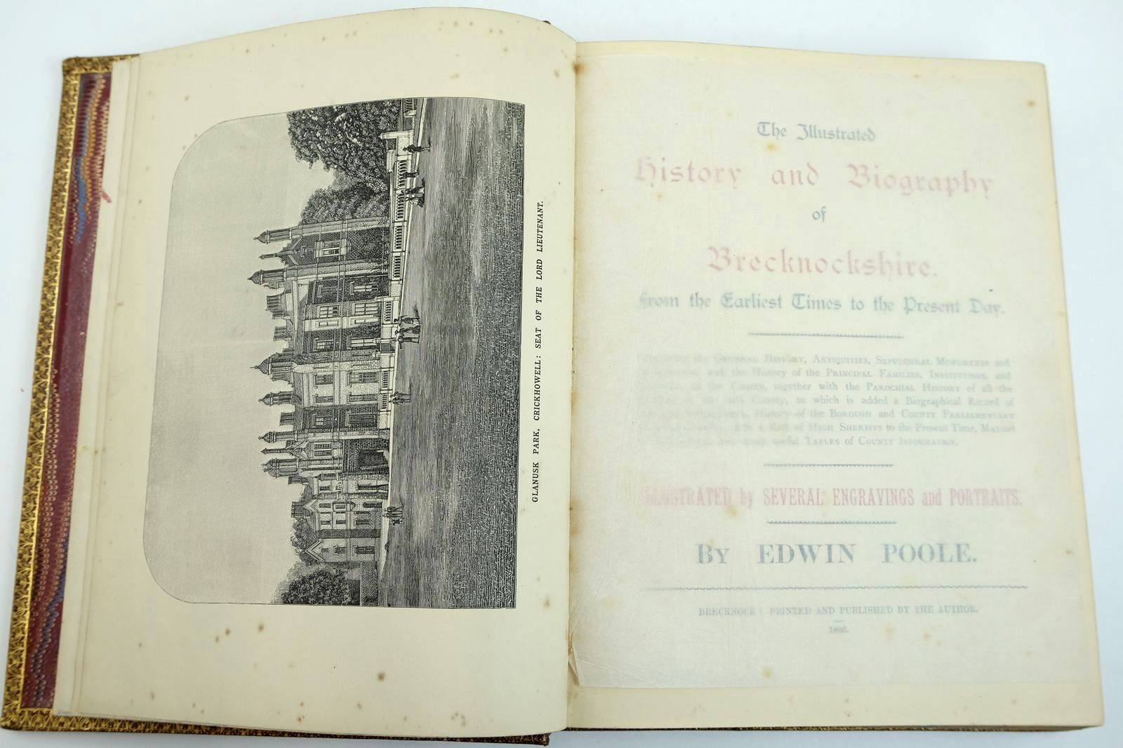 Stella & Rose's Books