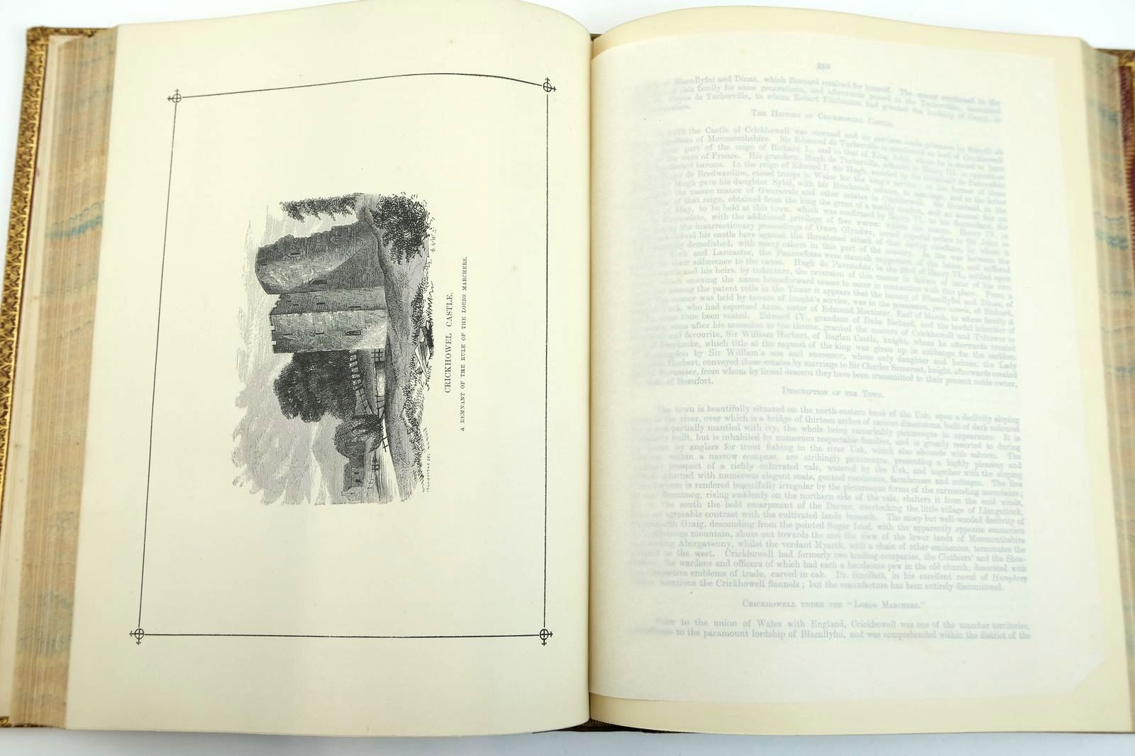 Stella & Rose's Books