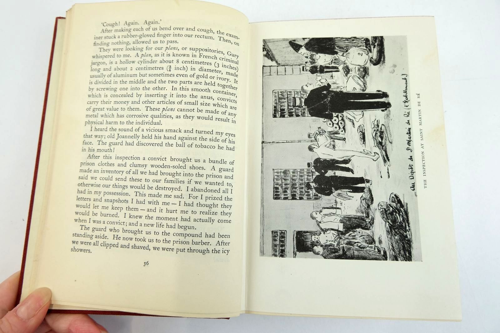 Stella & Rose's Books