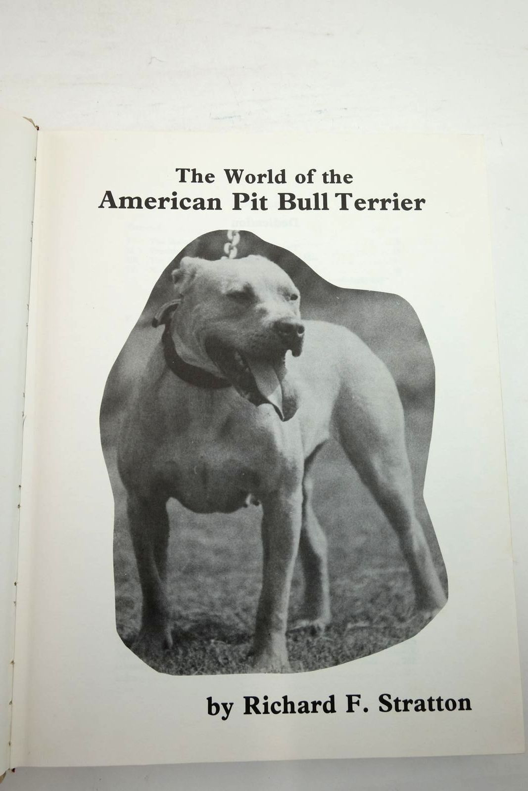 Stella & Rose's Books