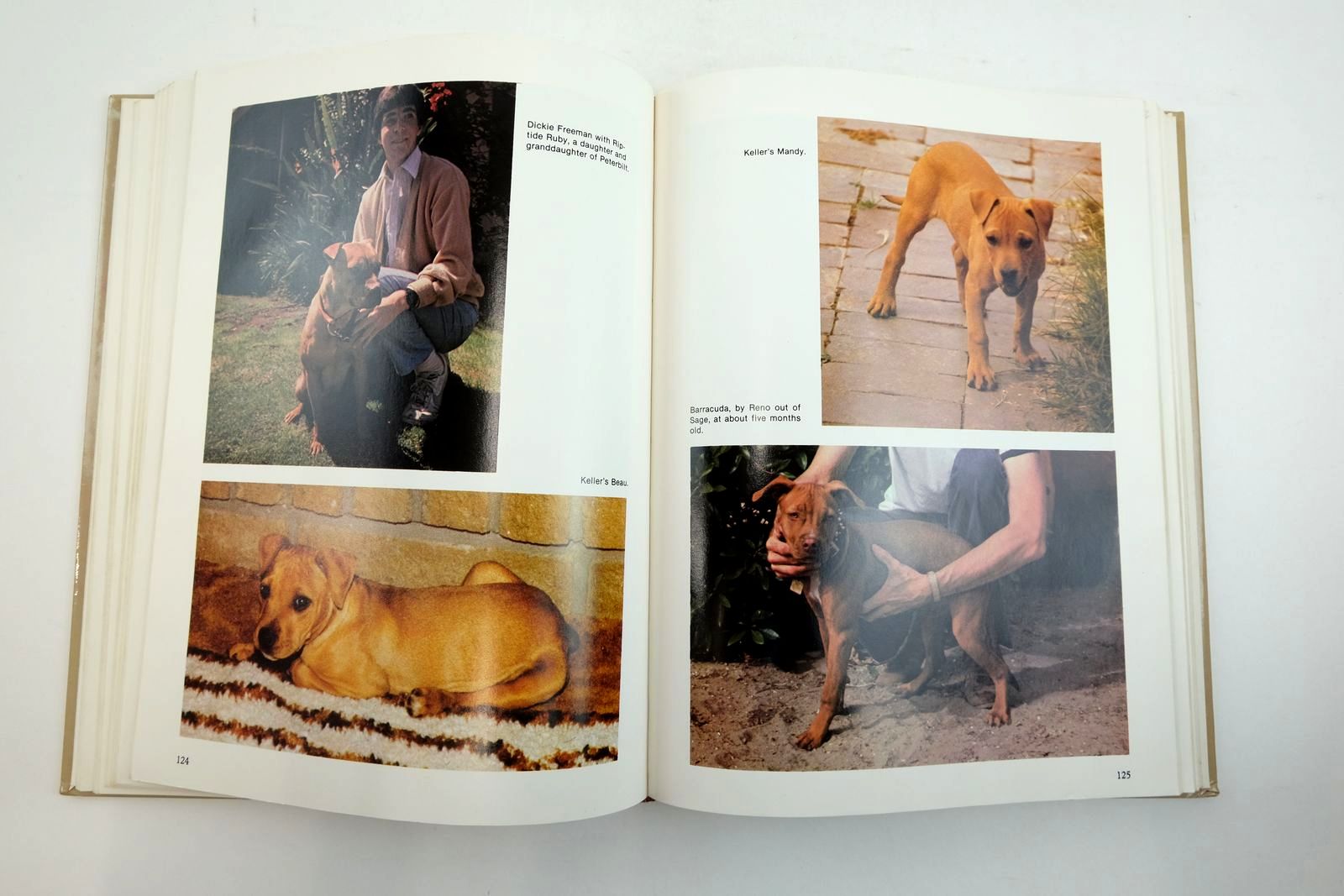 Stella & Rose's Books