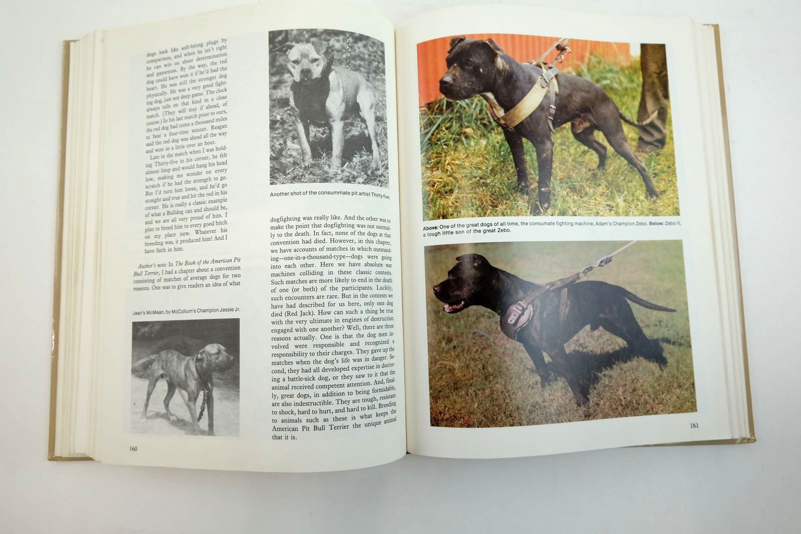 Stella & Rose's Books