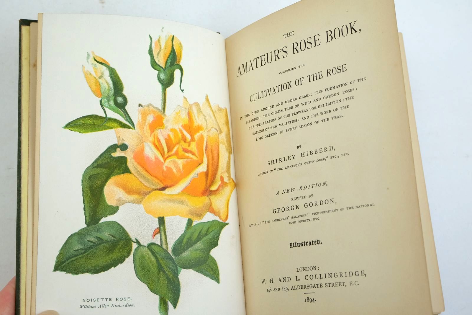 Stella & Rose's Books