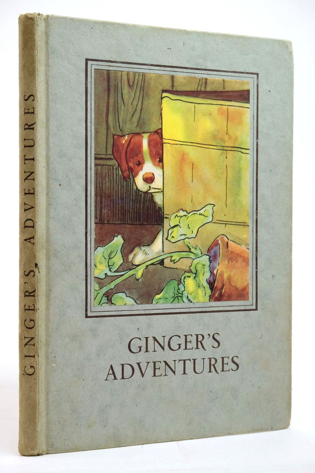 Stella & Rose's Books