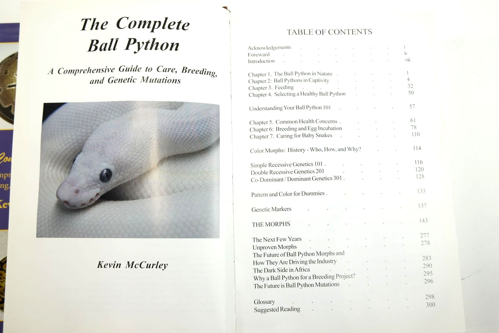 Stella & Rose's Books