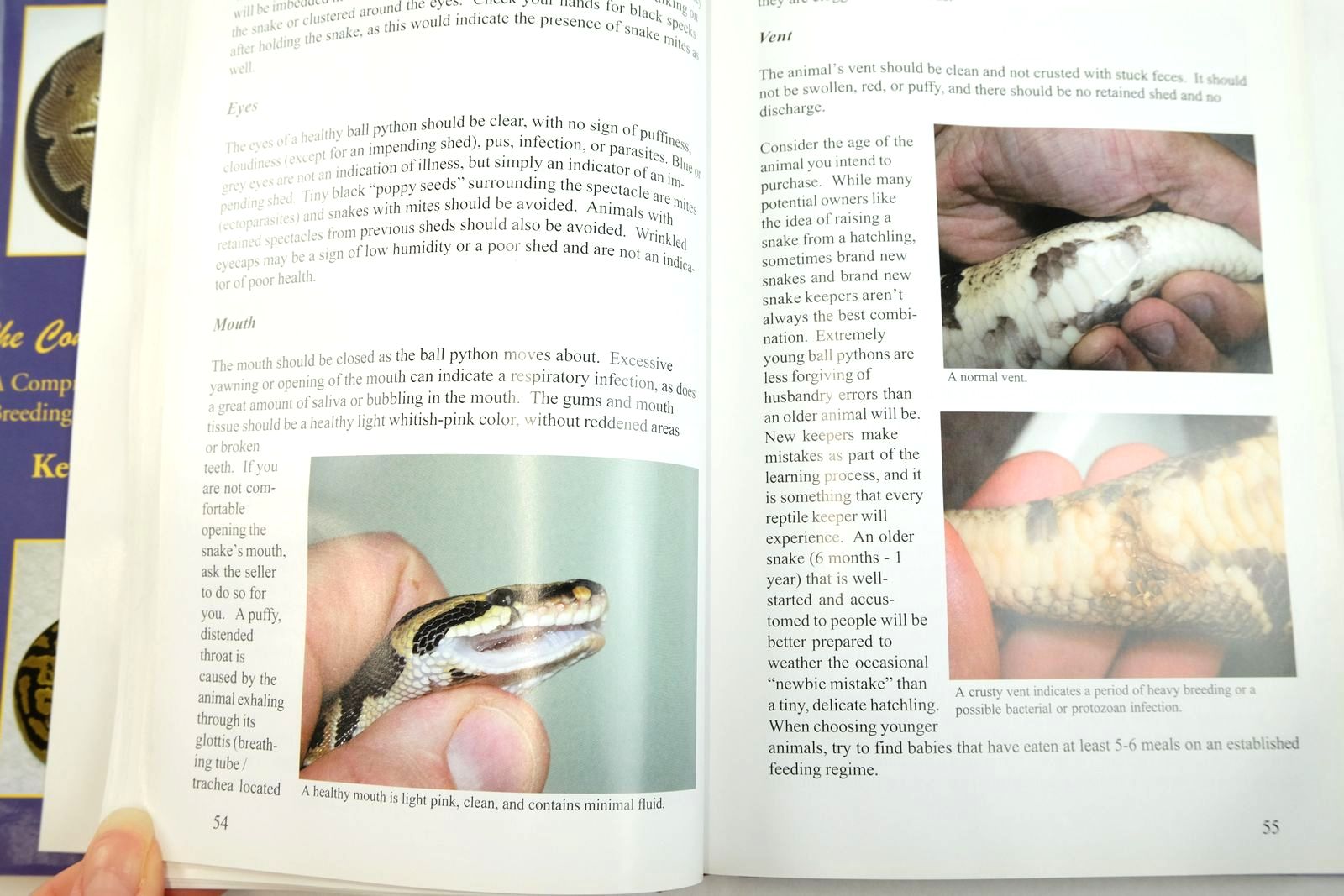 Stella & Rose's Books