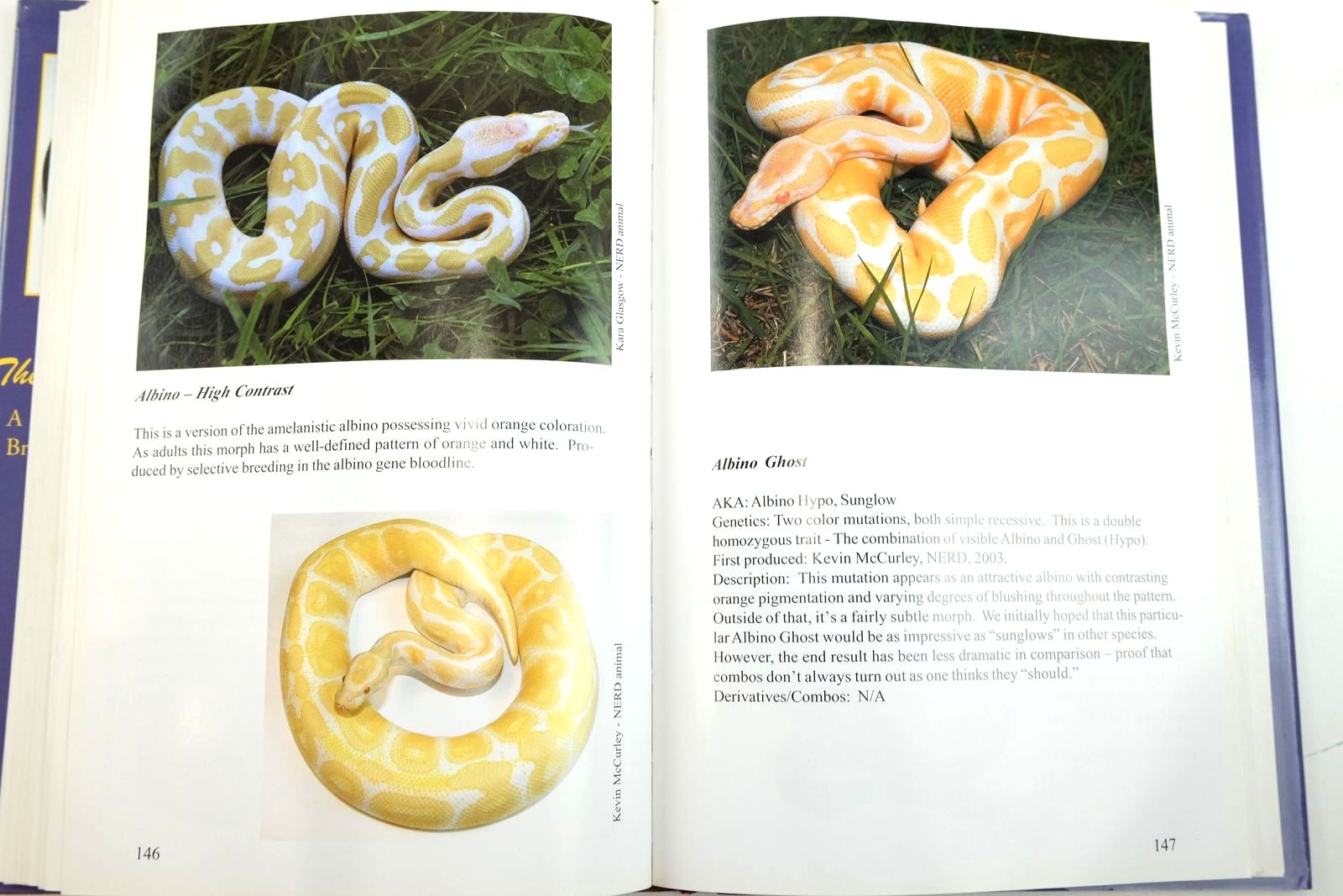 Stella & Rose's Books