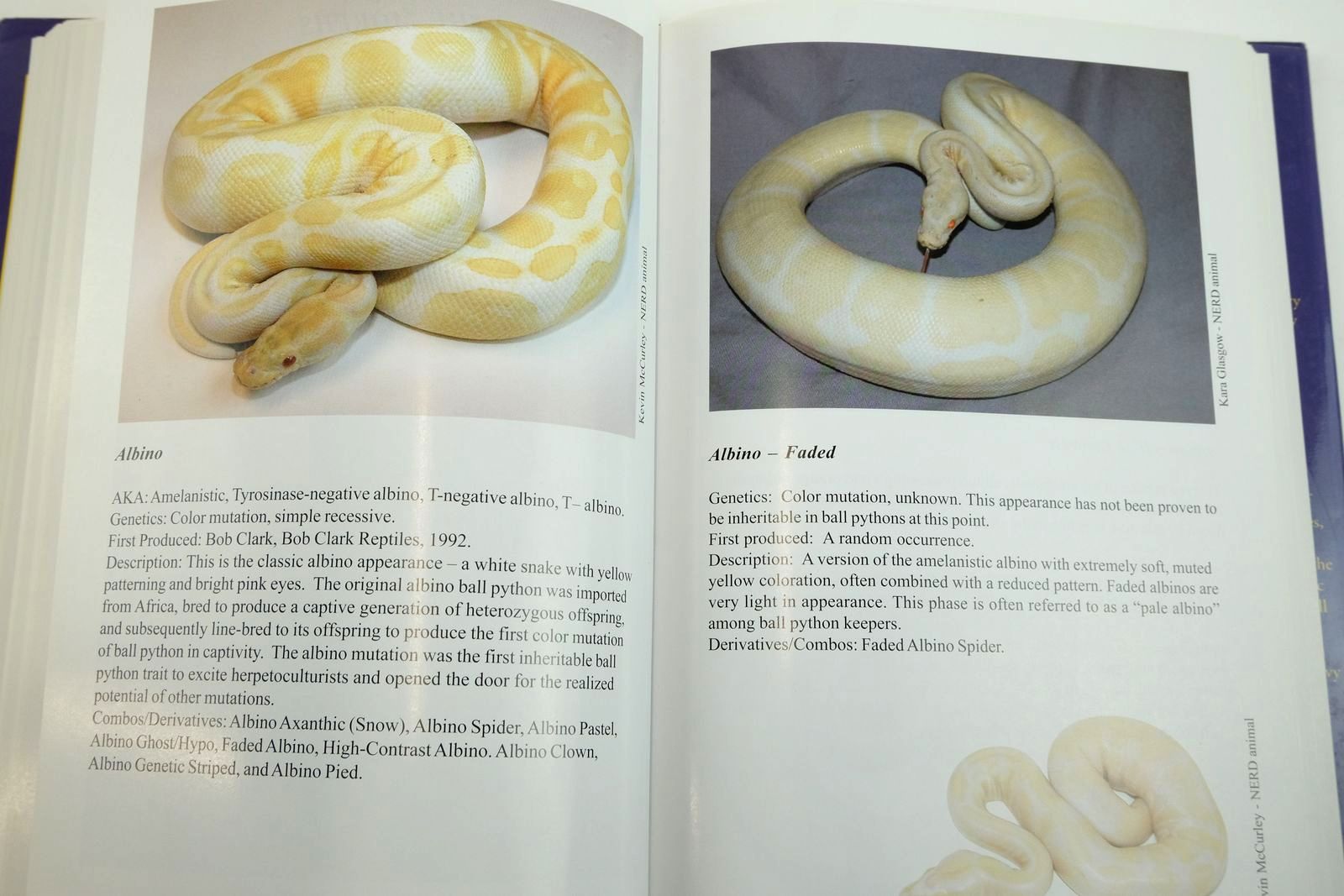 Stella & Rose's Books