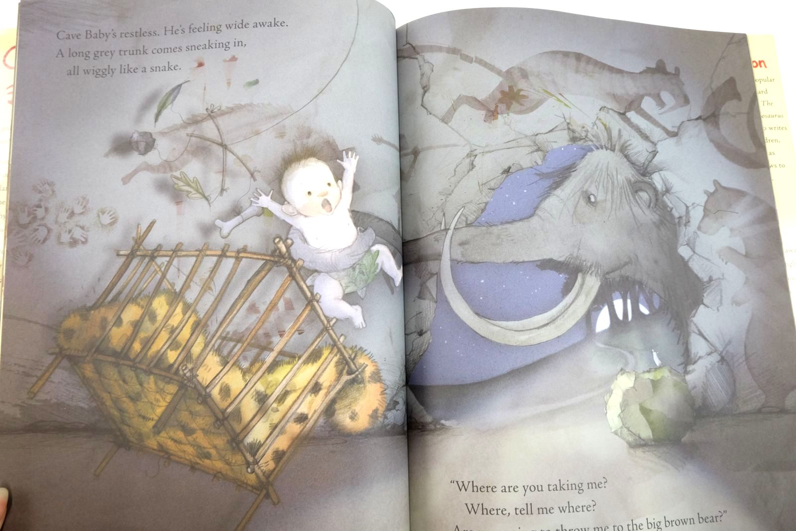 Stella & Rose's Books