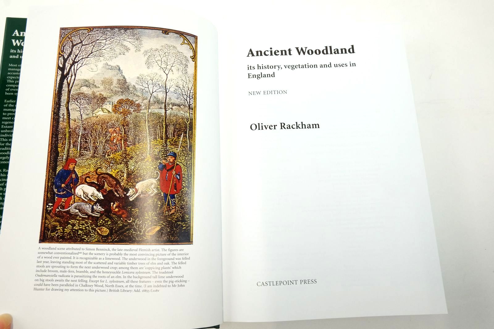 Stella & Rose's Books