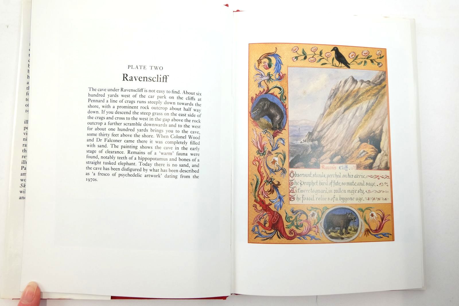 Stella & Rose's Books