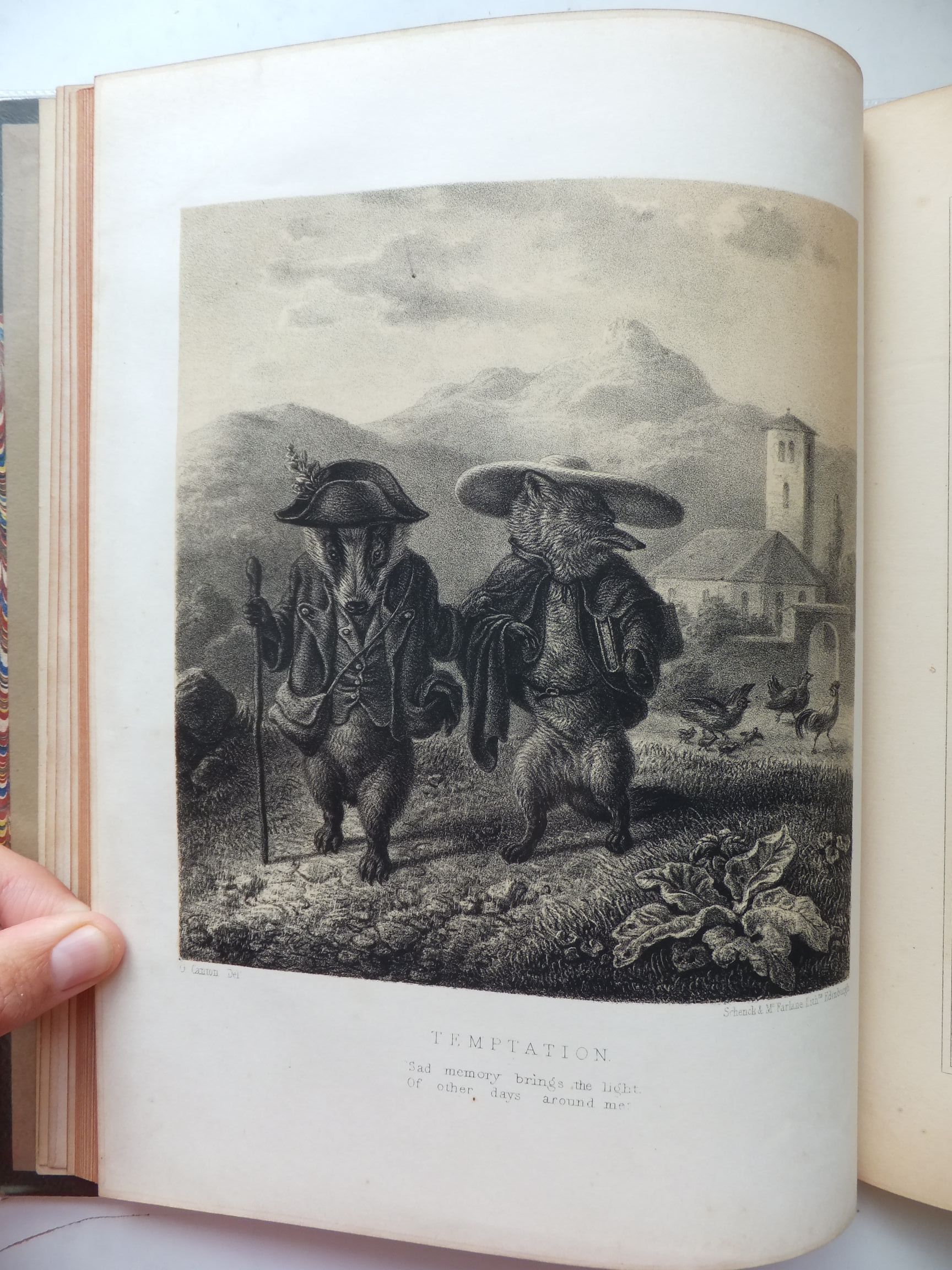 Stella & Rose's Books