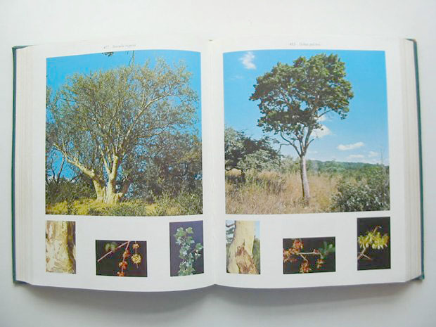 Stella & Rose's Books